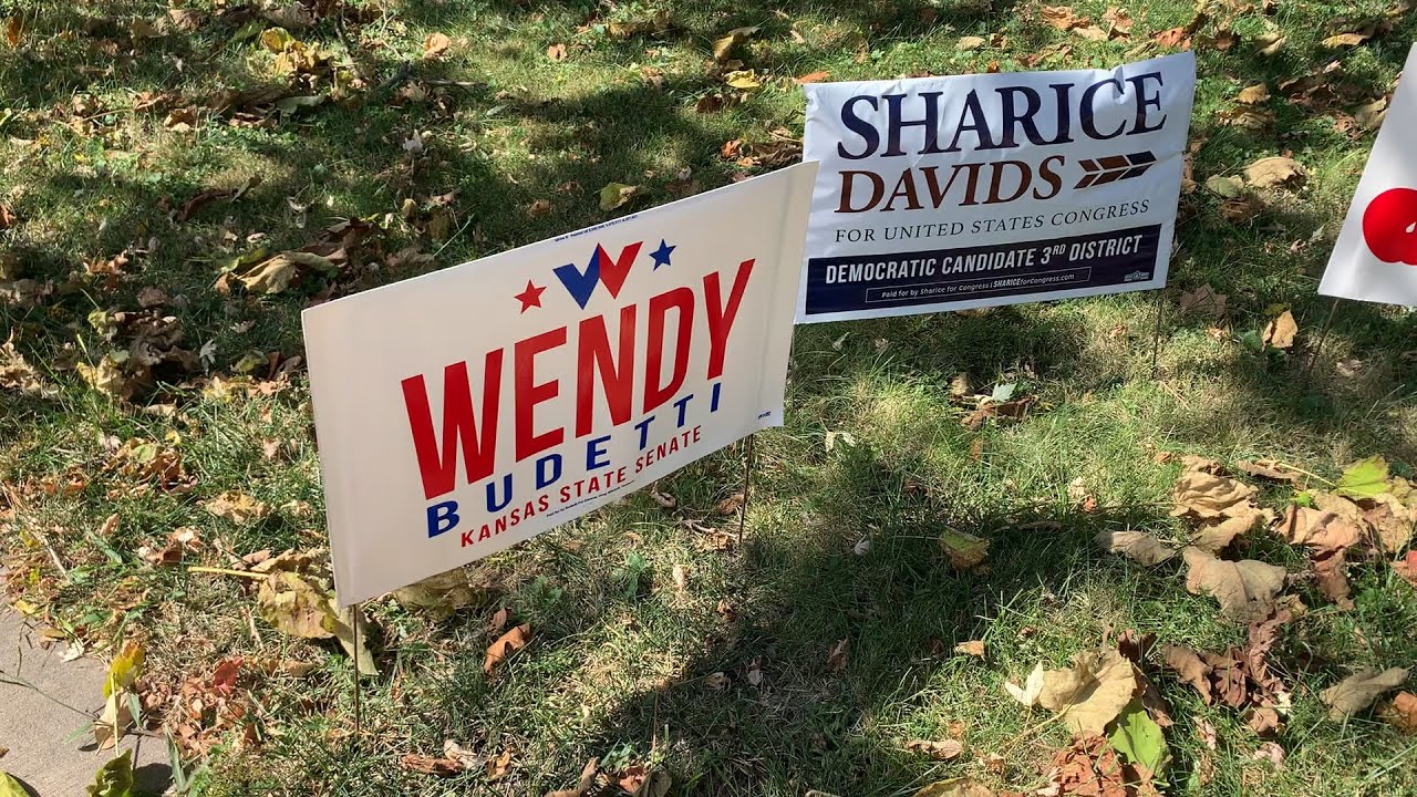 Small elections, big impact: the importance of local politics | The ...