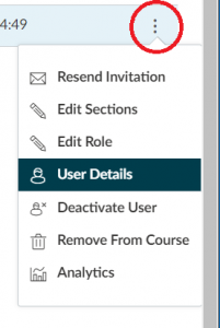 How to: View Student Activity in Canvas – Teaching & Learning